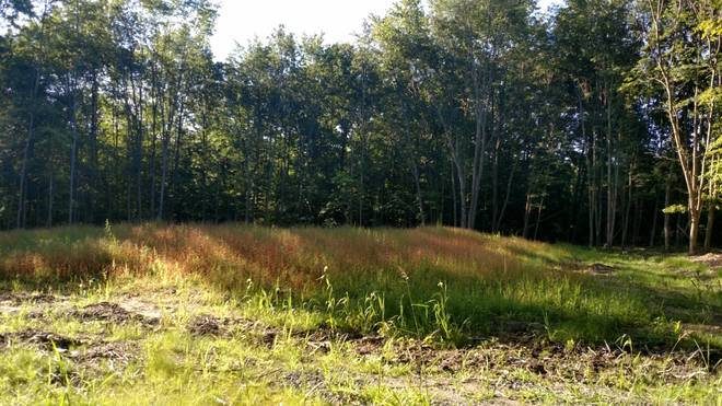 Snow Street, Lot #3, Bloomingburg, NY 12721 (Off Market NYStateMLS ...
