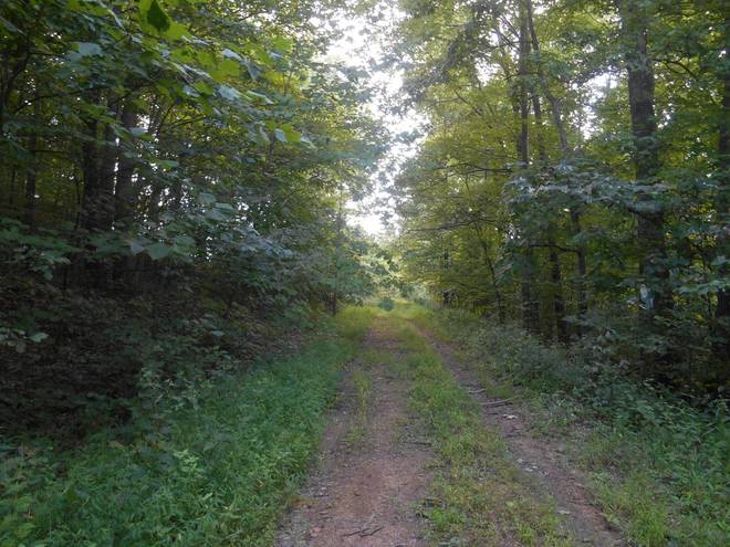 000 Mikes Run Rd, Linn, WV 26384 (Off Market MyStateMLS Listing #10447410)