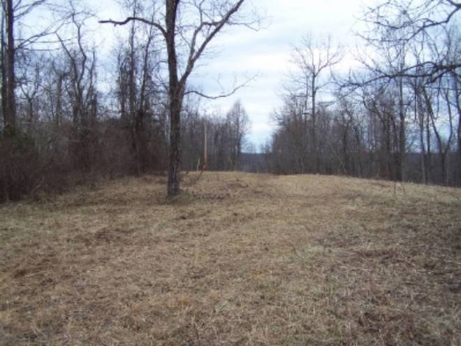 Altizer Road, Arnoldsburg, WV 25234 (Sold MyStateMLS Listing #10582143)