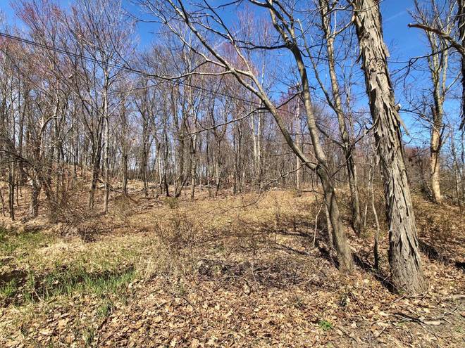 Dutchess County Pine Plains New York (NY) — Real Estate Listings By City