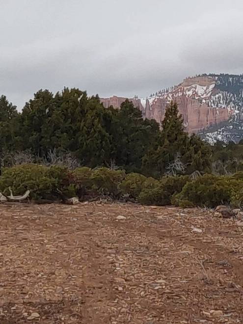 300 Deer Springs Ranch/Cowpath, #300, Kanab, UT 84741 (Sold MyStateMLS ...