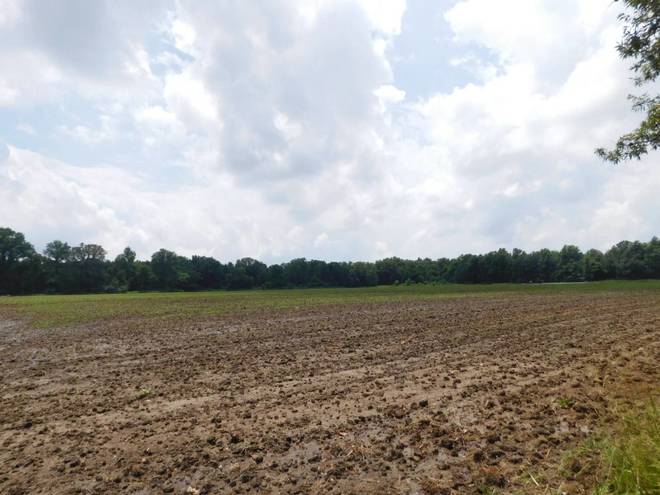 Hurricane Lane, Dundas, IL 62425 (Sold NYStateMLS Listing #10616617)