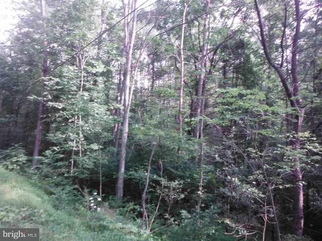 German Rd. & Little Plum Run Rd, Lock Haven, PA 17745 (Off Market ...