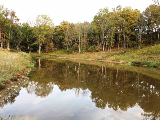 Lot#22 Boswell Ln, Mackville, KY 40040 (Off Market NYStateMLS Listing ...