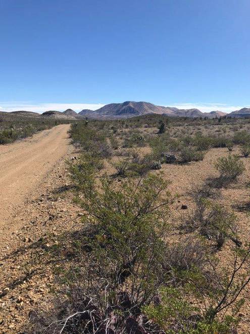 Cedar Springs Terlingua Ranch, #517 W/2, Alpine, TX 79830 (Off Market ...