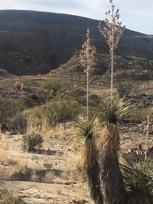 Reduced *Gate 2 Terlingua Ranch , #7, Terlingua, TX 79852 (Off Market ...