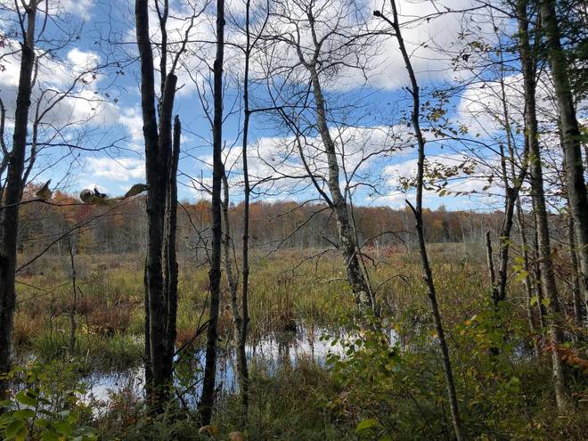 Oswego County Redfield New York (NY) — Real Estate Listings By City