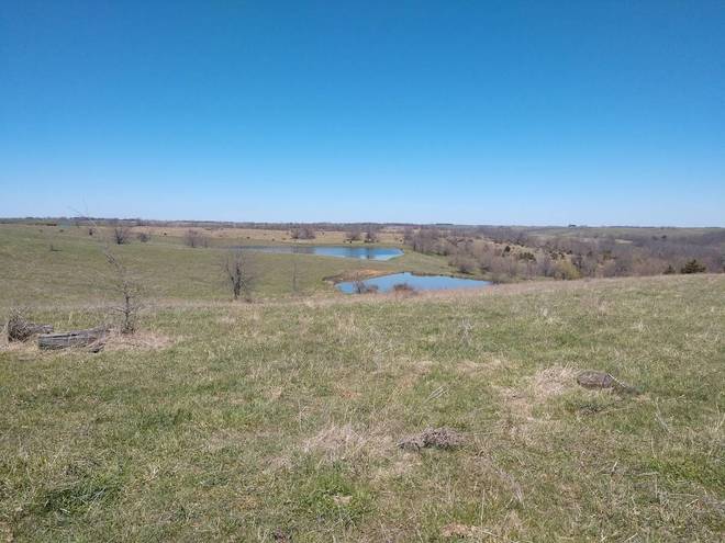 NN Highway, Eagleville, MO 64442 (Off Market MyStateMLS Listing #10878120)