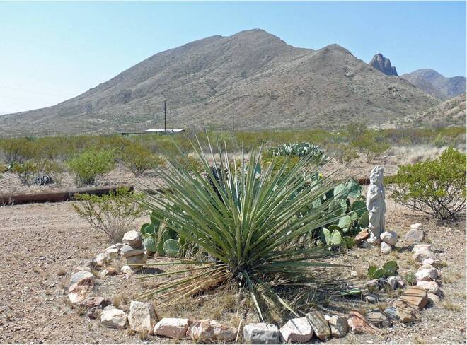 2431 Lake Ament Road, # Tract 893, Terlingua, TX 79852 (Sold NYStateMLS ...