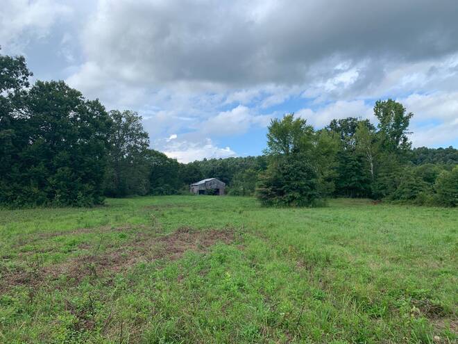 5000 KY 206, Dunnville, KY 42528 (Sold NYStateMLS Listing #10939344)