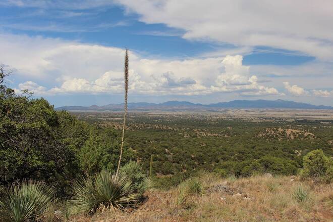 0 Old Duquesne Rd., Patagonia, AZ 85624 (Off Market NYStateMLS Listing ...